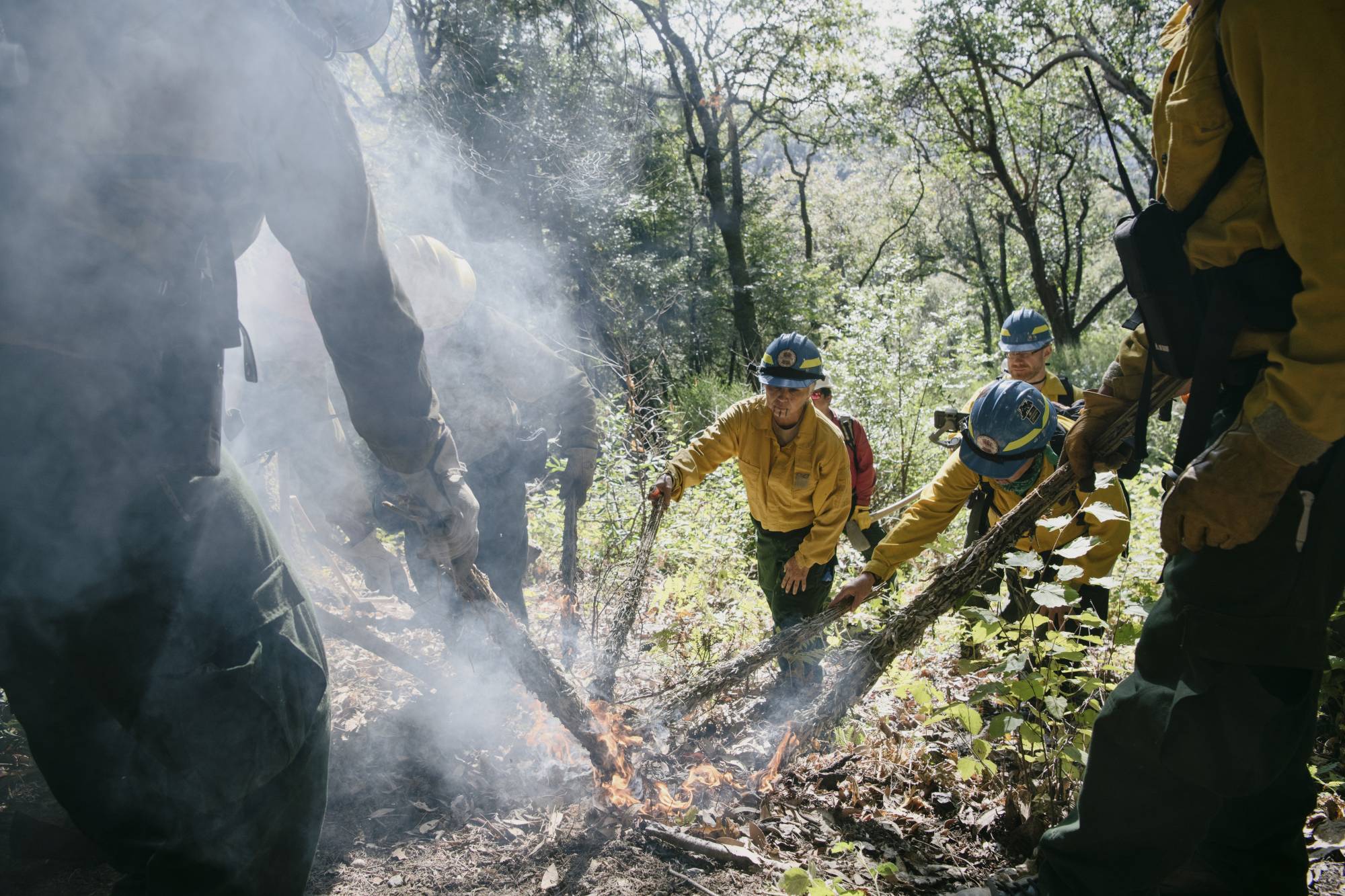 Good Fire: Tending Native Lands | Native American Studies at UC Davis